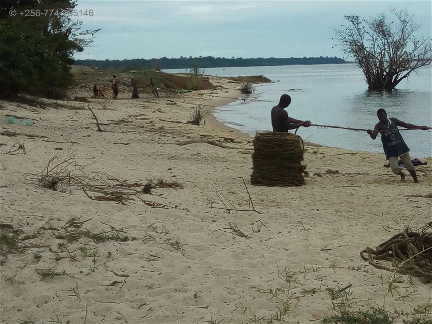 Commercial Land for sale in Nabugabo Masaka Uganda, code: 19967, 24/09/2025