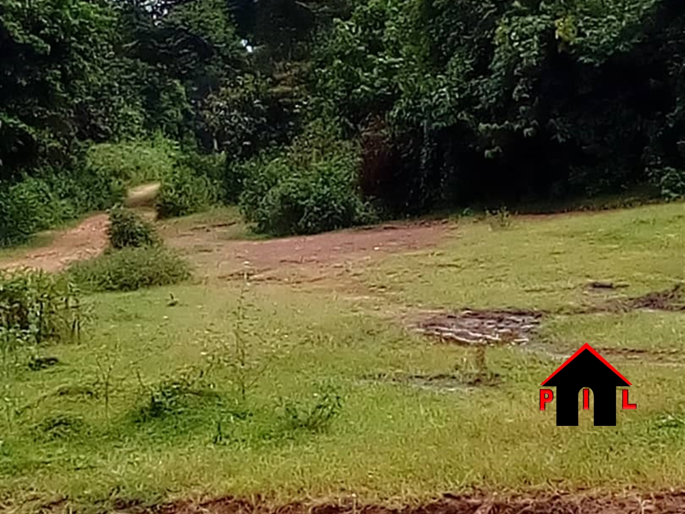 Agricultural Land for sale in Asinget Tororo Uganda, code: 130641, 03 ...