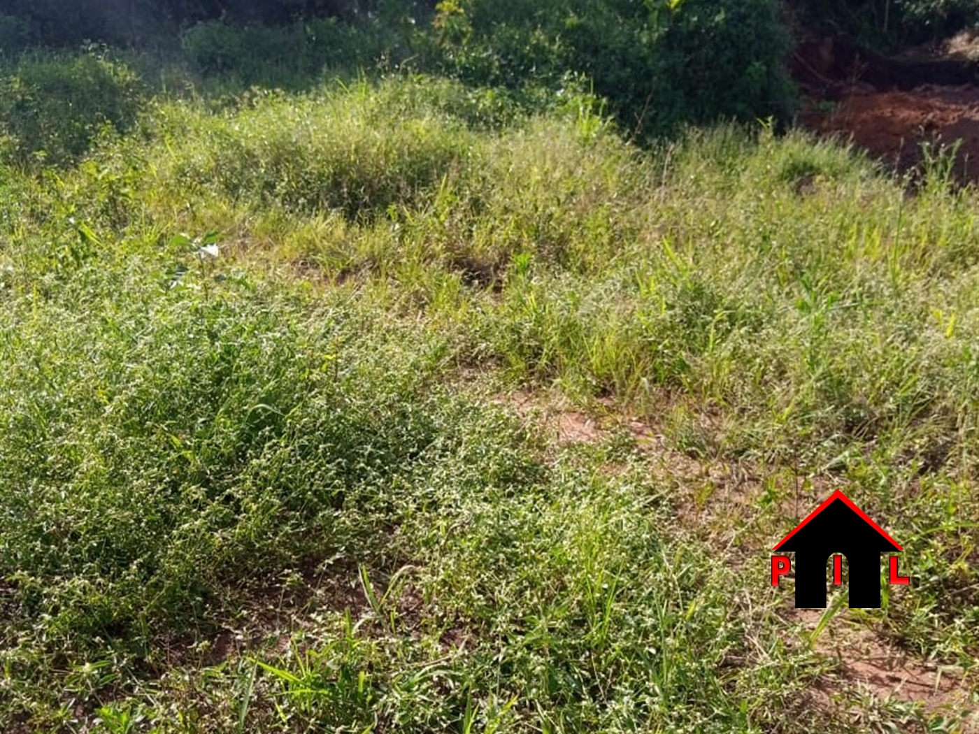 Residential Land for sale in Nansana Wakiso Uganda, code: 188826, 05/01 ...