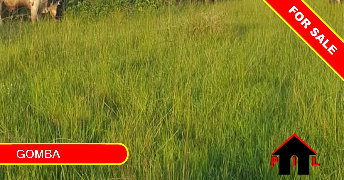 Agricultural Land for sale in Gomba Mpigi Uganda, code: 68818, 01/11/2024