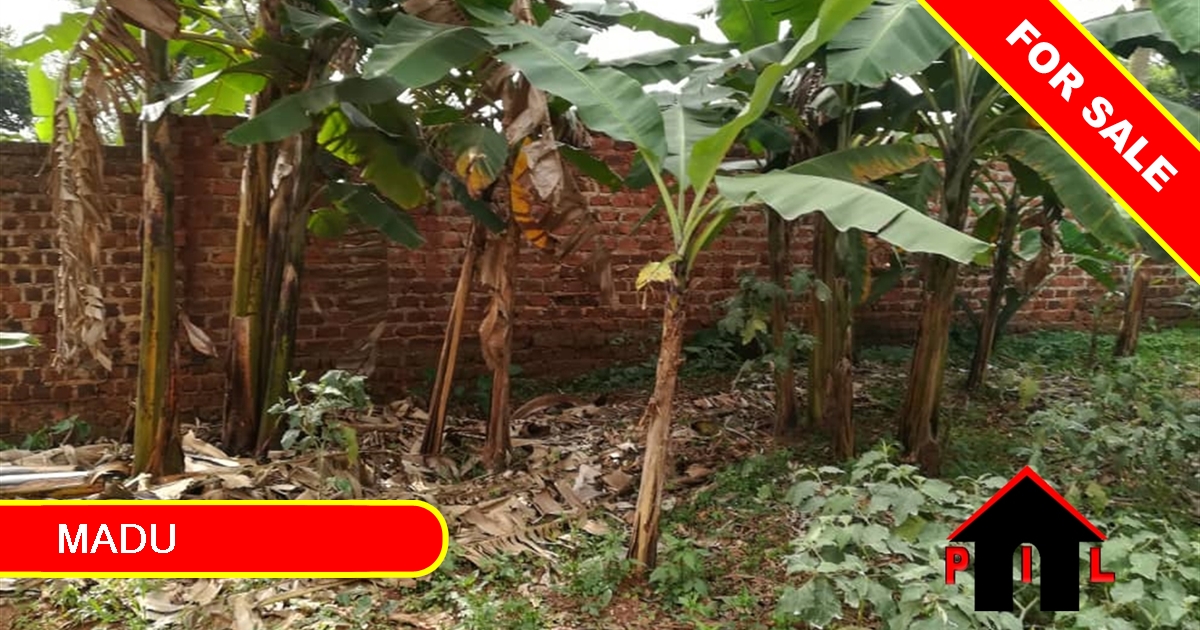 Agricultural Land for sale in Madu Gomba Uganda, code: 100474, 05/08/2024