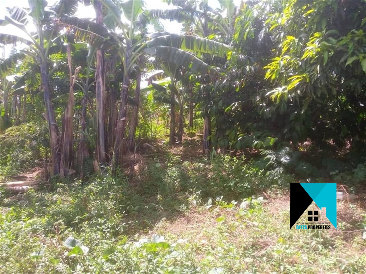 Multipurpose Land for sale in Kabulasoke Gomba Uganda, code: 209838, 10 ...